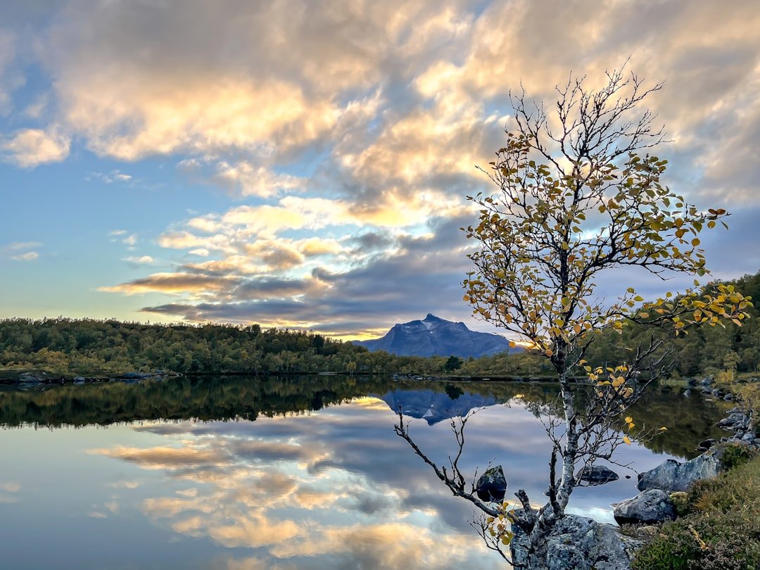 Velkommen til Norge: A Guide to Norwegian Greetings and Etiquette ...