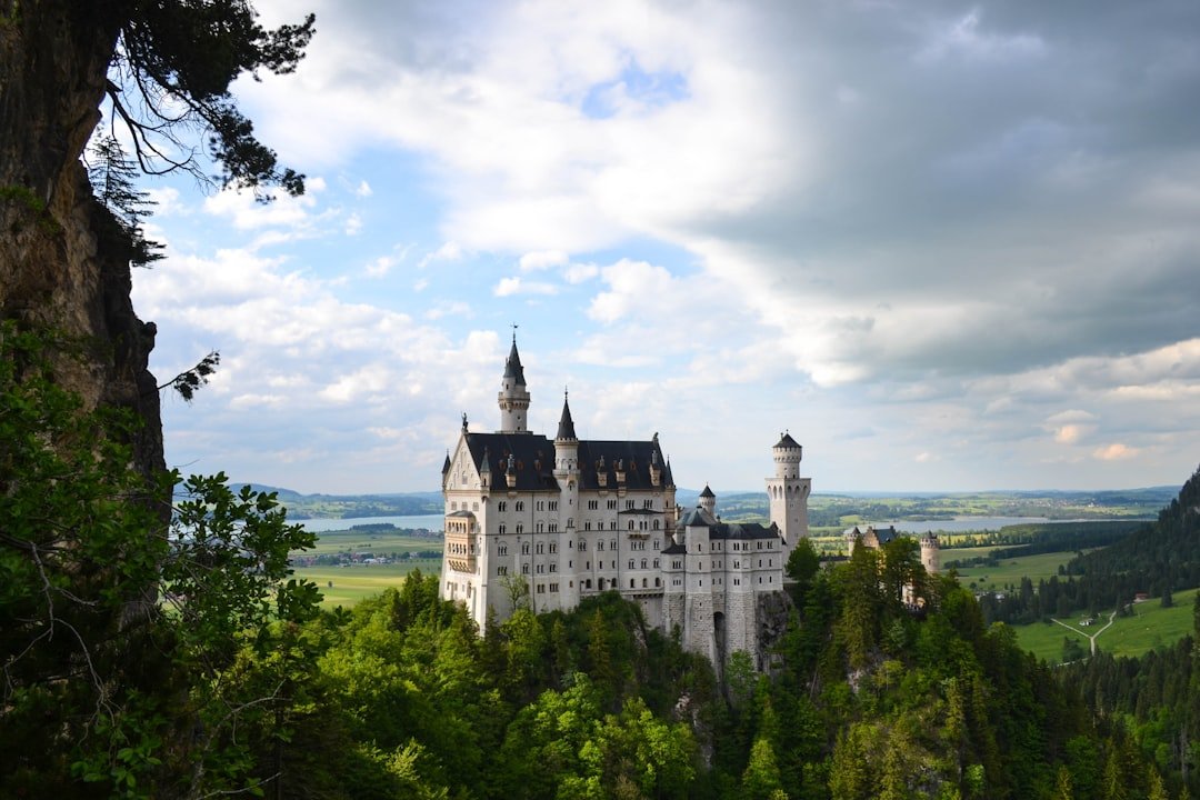 A Guide to German Relative Clauses and Relative Pronouns