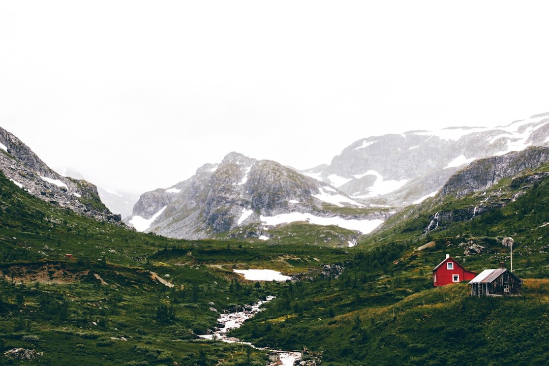 How Your Norskprøven Score Can Boost Your CV and Job Prospects in Norway