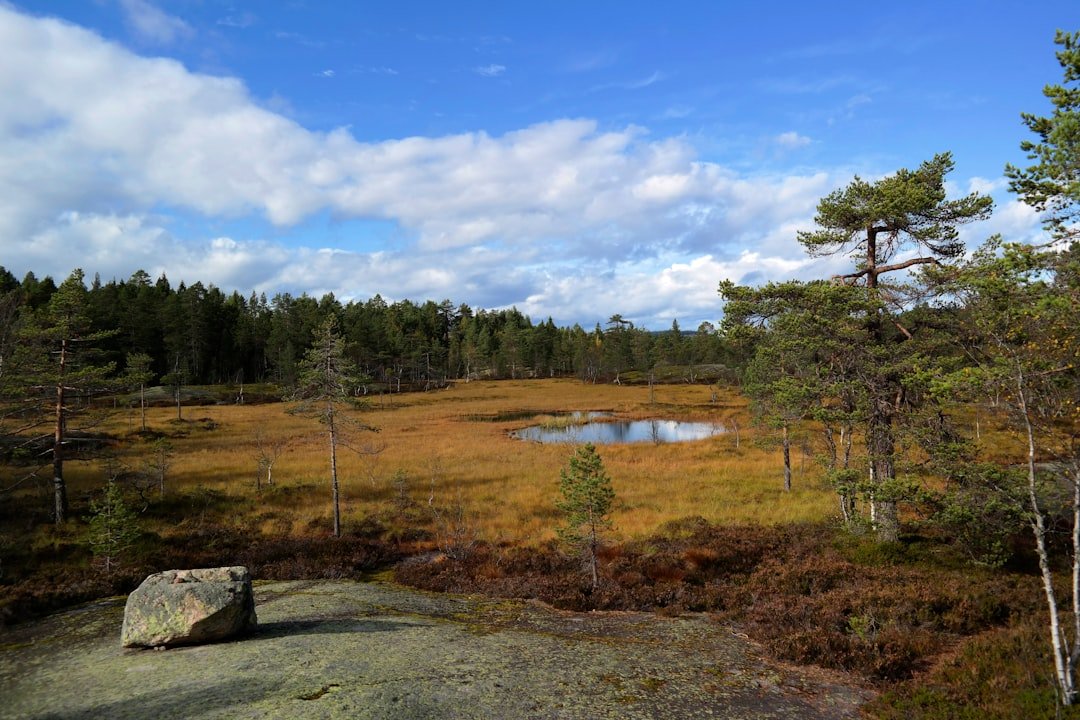 The Difference Between 'God morgen' and 'God formiddag' in Norwegian