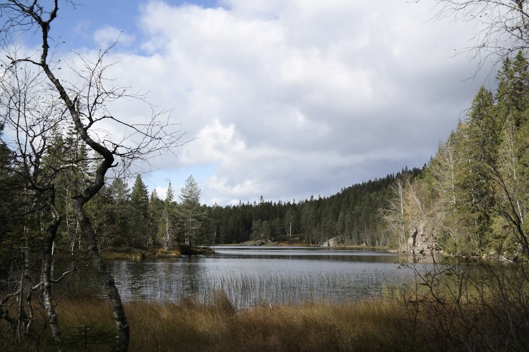 The Meaning of 'Takk for sist' and Other Untranslatable Norwegian Phrases