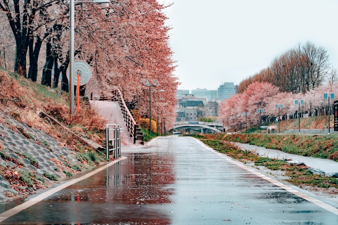 How to Use the "-go sipda" Form to Express What You Want to Do in Korean