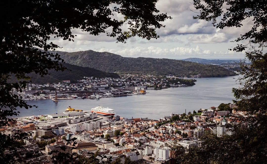 Essential Norwegian Phrases for Navigating Oslo's T-bane and Trikk